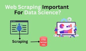 Is Web Scraping Important For Data Science? Why & How Exactly? - Alnusoft